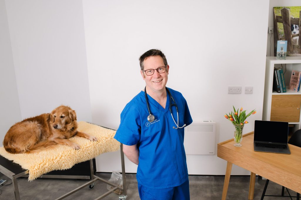 Expert Veterinary Practice Training for Pain Management
